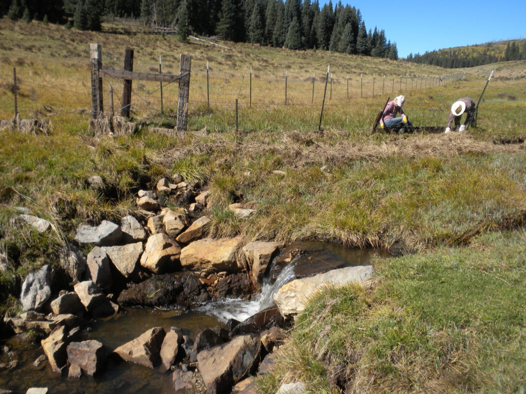 Chevron Mining Inc., Questa Mine (Formerly Molycorp Mine) – Office of ...